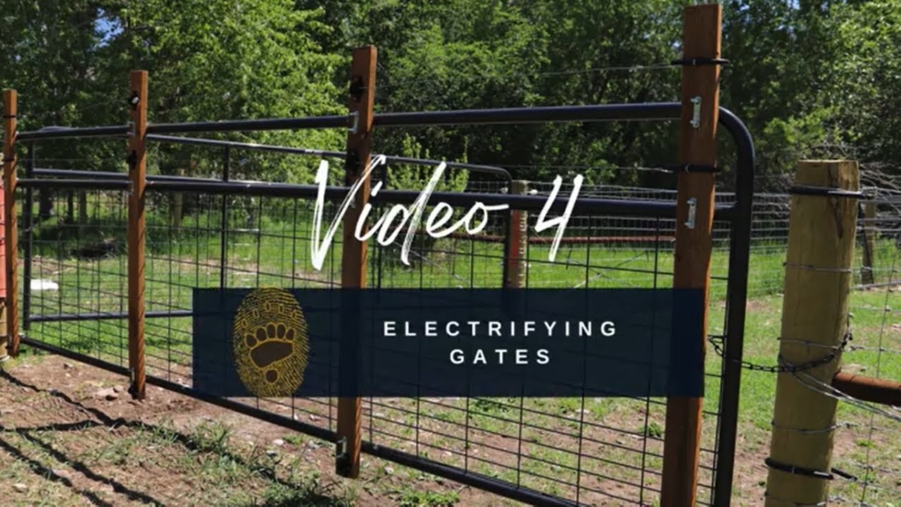 Electrifying Existing Fence for Bears: Electrifying Gates (4/7) - YouTube