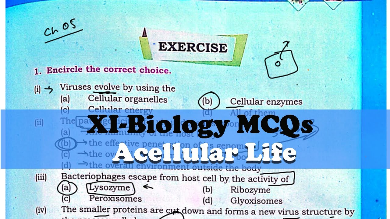 XI- Biology Chapter 05 Acellular Life MCQs discussion || STB new Book ...