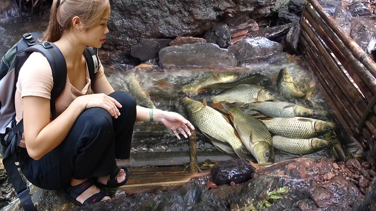 Making Fish Traps - Building a System Of Traps To Catch Stream Fish ...