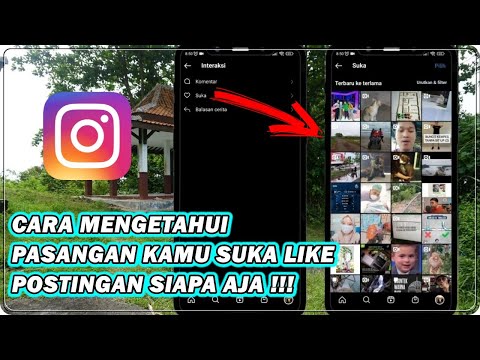 CARA MENGETAHUI PASANGAN KAMU SUKA LIKE POSTINGAN APA SAJA DI INSTAGRAM