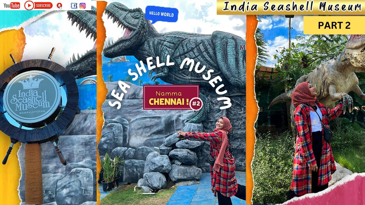 Sea Shell Museum in Chennai | Singapore Vibes | Best place to visit in ...