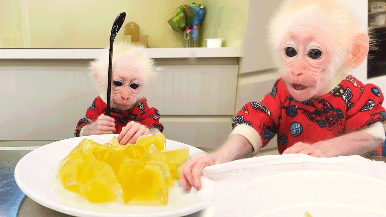 Bibi Monkey Cooks Yummy Jelly - YouTube