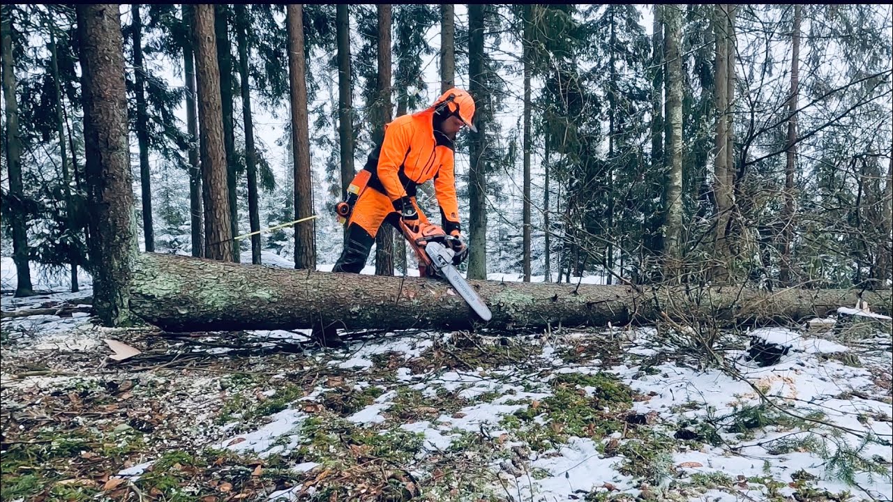 Logging-Husqvarna 560XPG chainsaw +loading with tractor and trailer ...