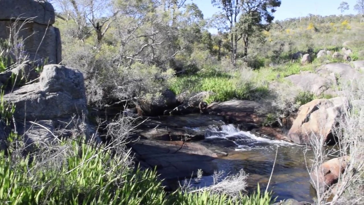 Jane Brook in John Forrest National Park, Perth, Australia - YouTube