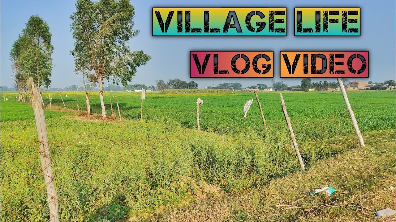 Village life vlogs | cinematic video village life | village life vlogs ...