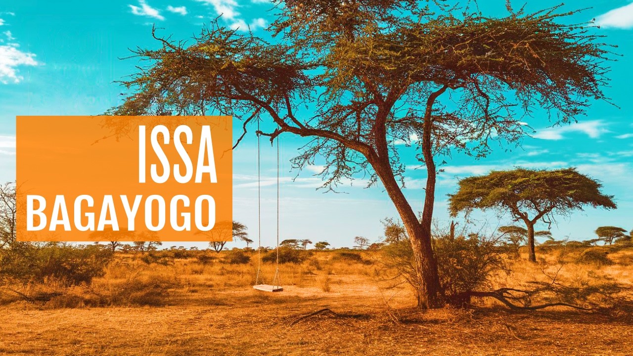 Issa Bagayogo. Diarabi (Digital Art Electronic Music Video) - YouTube