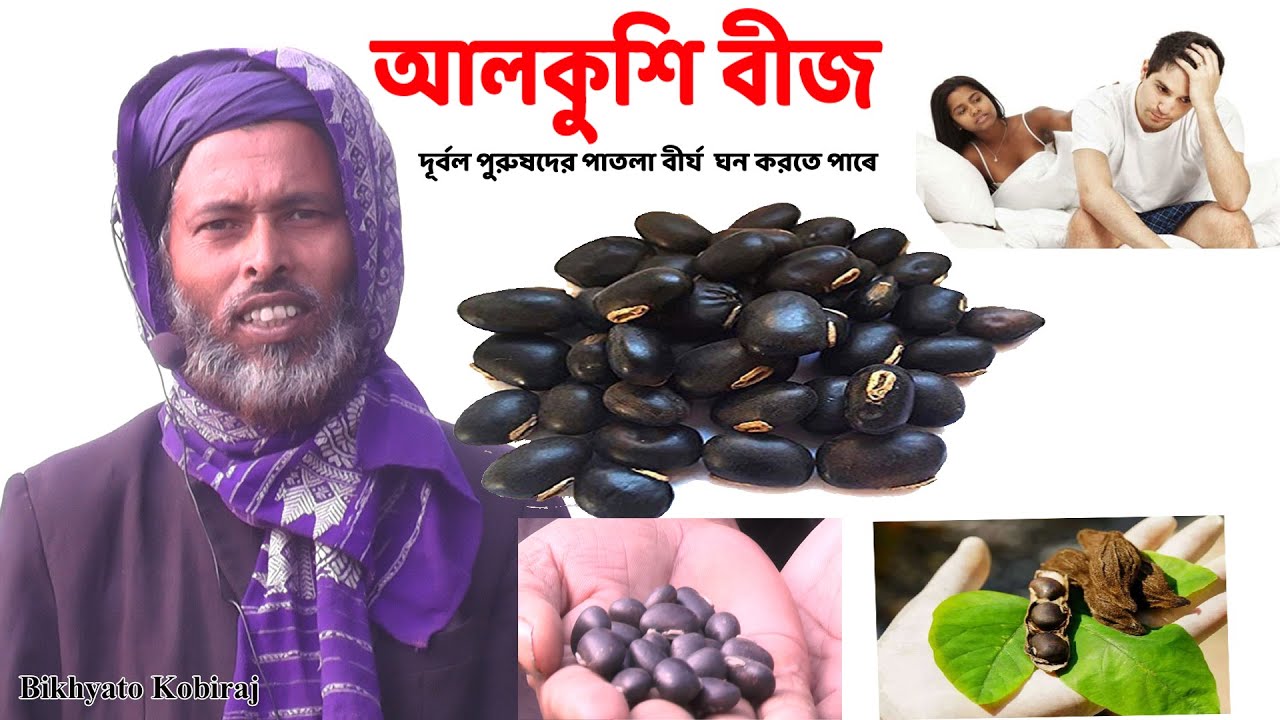 আলকুশি বীজ বিশাল উপকারিতা |alkushi beej || Benefits of Alkushi Seed ...