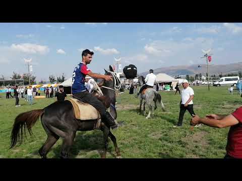 ERZURUM TÜRK OYUNLARI 2019 AT OYNATMA