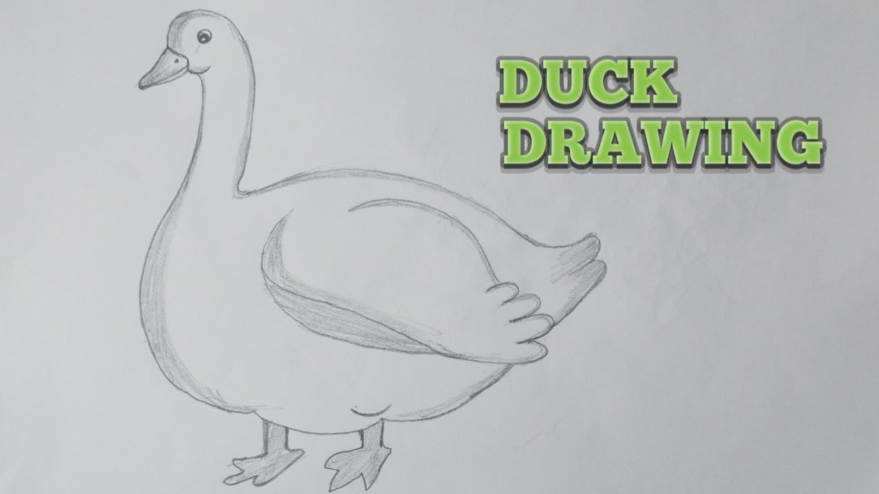 How to draw DUCK 🦆 | how to draw duck step by step | Badak ka chitra ...
