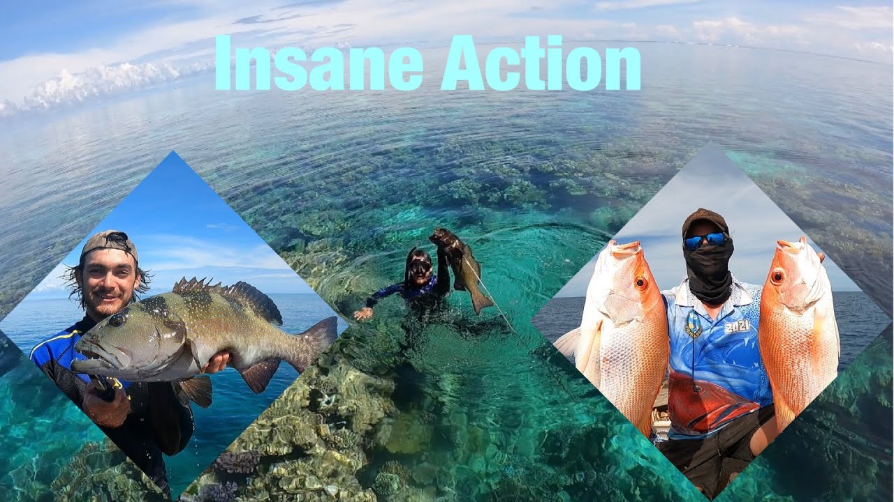 Fishing/Spearfishing The Great Barrier Reef!! - YouTube
