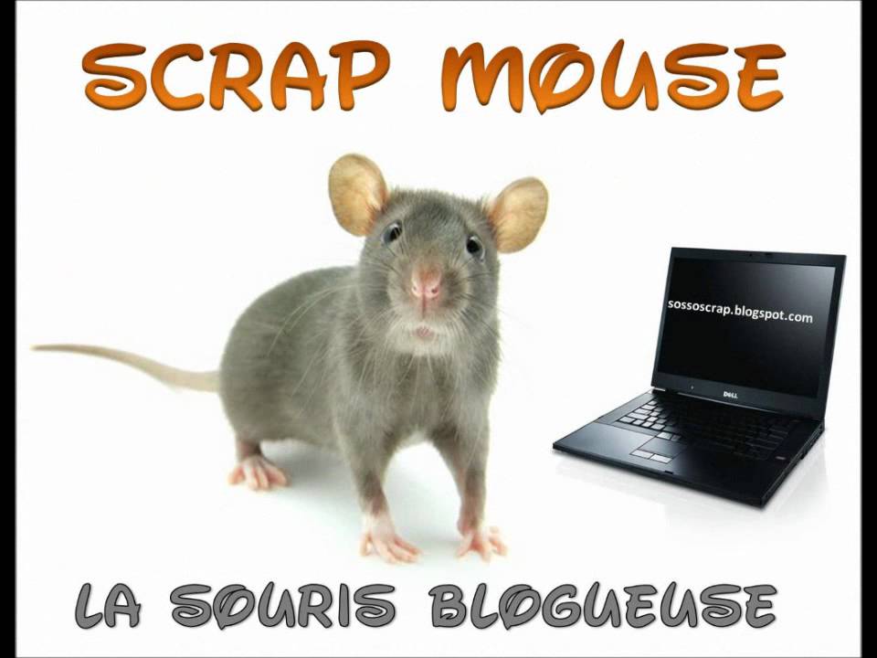 scrap mouse la souris blogueuse - YouTube