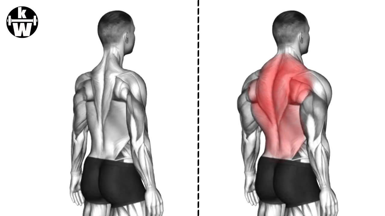 Do This Exercise To Feel Your Back Muscles Widen. - YouTube