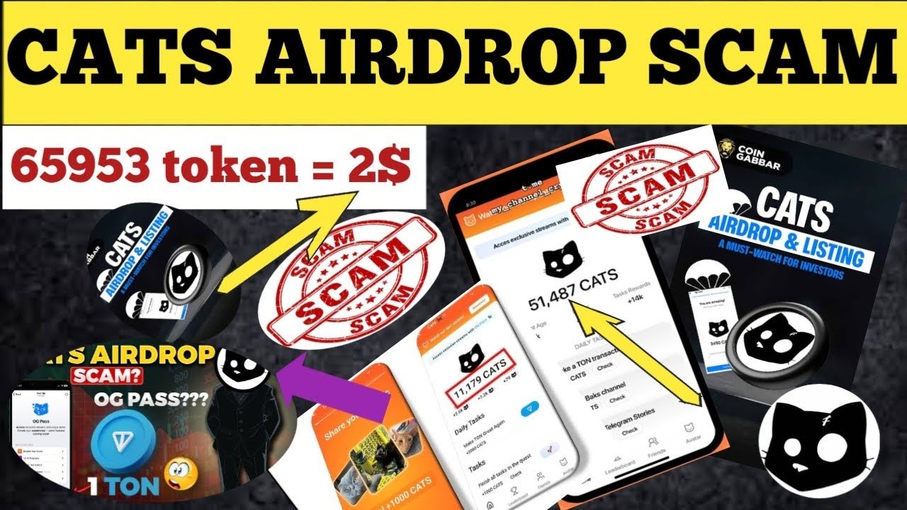 Cats Airdrop Scam | Cats Airdrop Big scam || cats airdrop token scam ...
