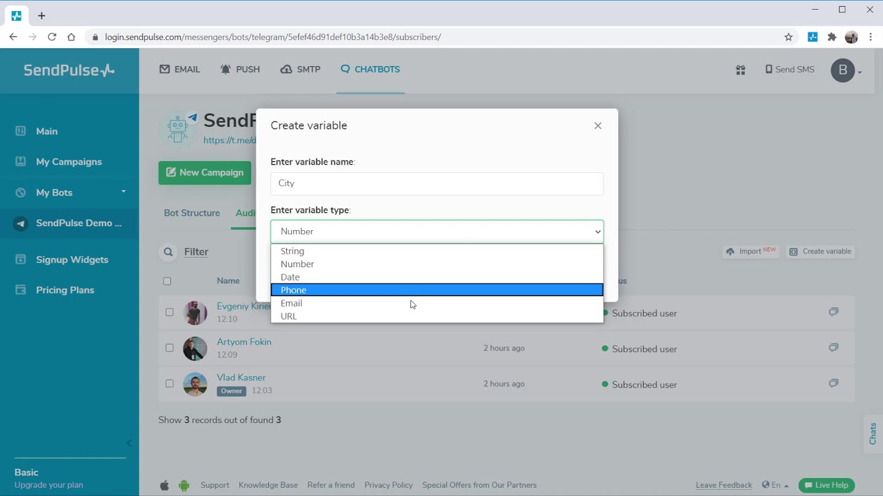 How to create a variable in the chatbot audience - YouTube