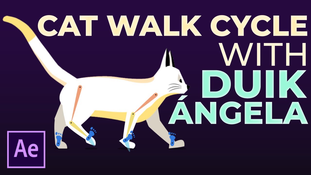 Cat Walk Cycle