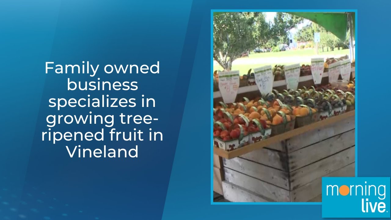 Family owned business specializes in growing tree-ripened fruit in ...