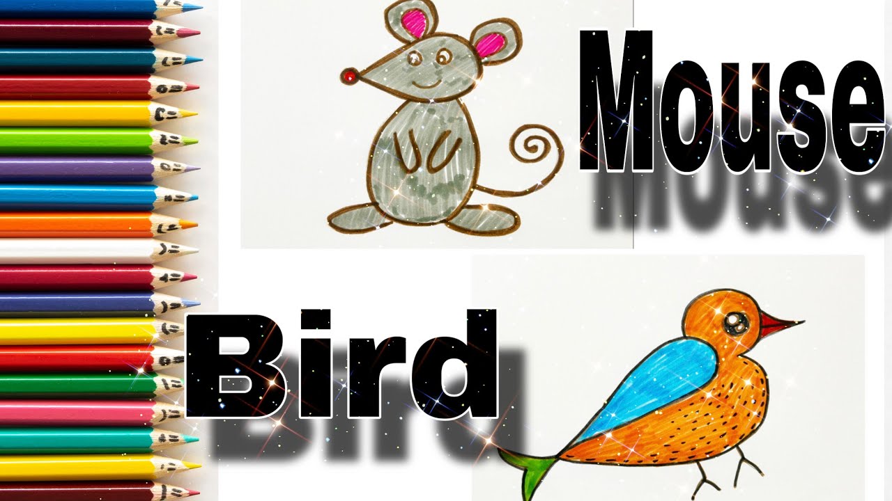 Mouse,Bird Drawing || How To Draw Mouse,Bird Drawing | Mouse,Bird ...