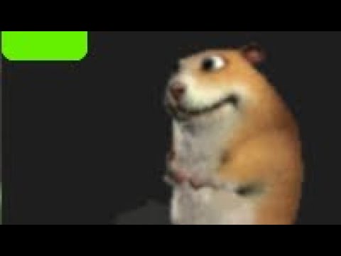 How to get normanly chomik (Roblox find the chomiks) - YouTube