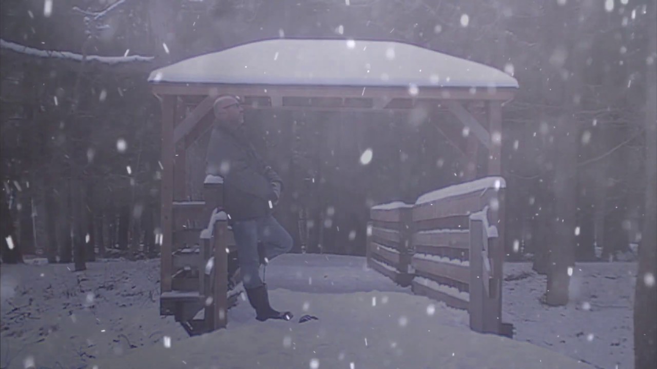 Blue Christmas © Billy Hayes and Jay W. Johnson (Martin Hamel acoustic ...