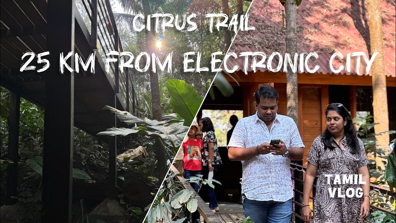 🌿🥞 Scenic Breakfast Drive to Citrus Trail, Bangalore | Hidden Gem Near ...