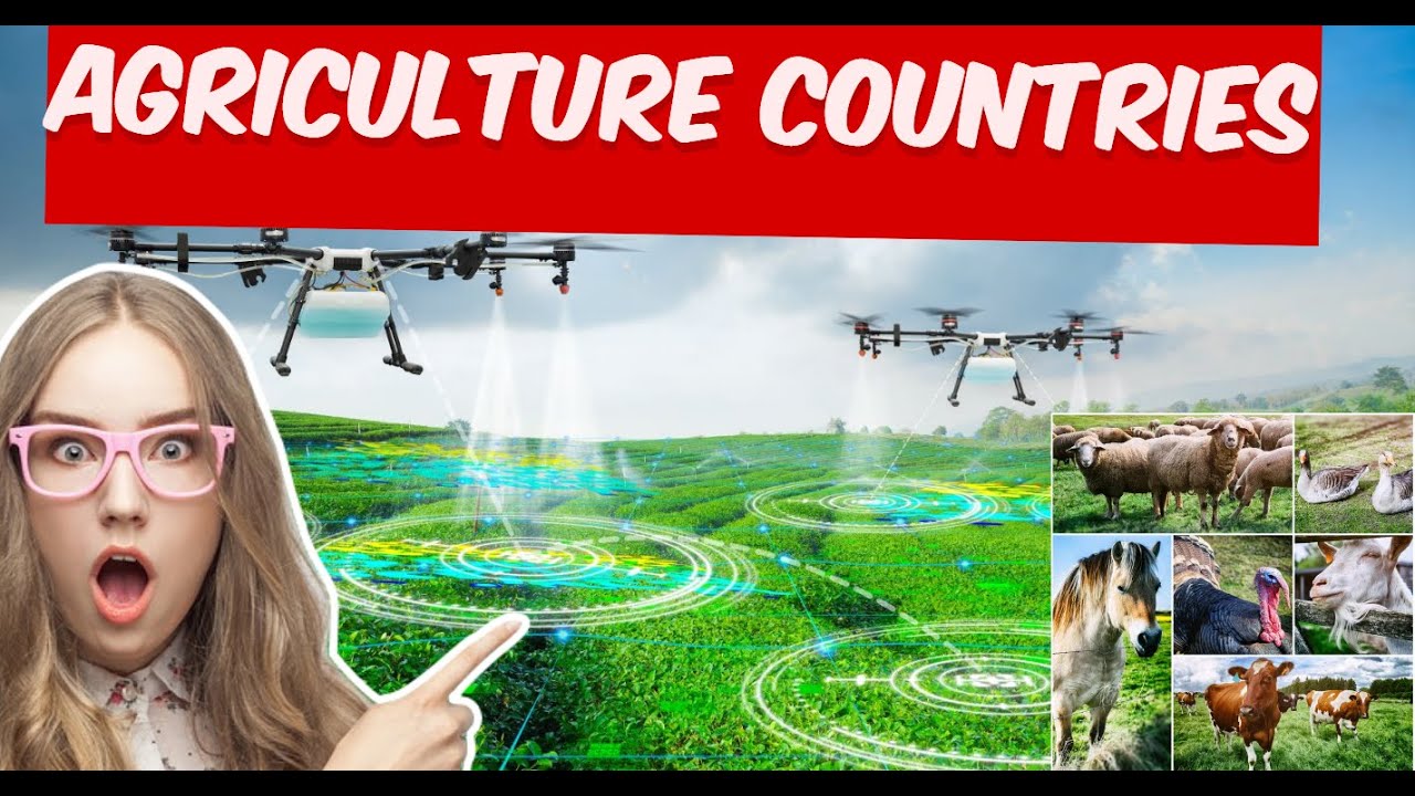 Agro Giants: Top Agricultural Countries in the world - Best Agriculture ...