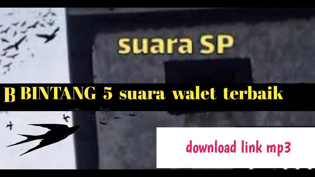 sp walet • respon walet sp bintang lima - YouTube