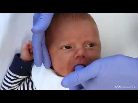 suck training - YouTube