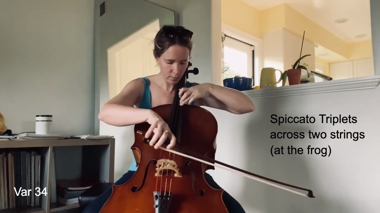 34. Spiccato Triplets across two strings at the frog: Sevcik Op.3 ...