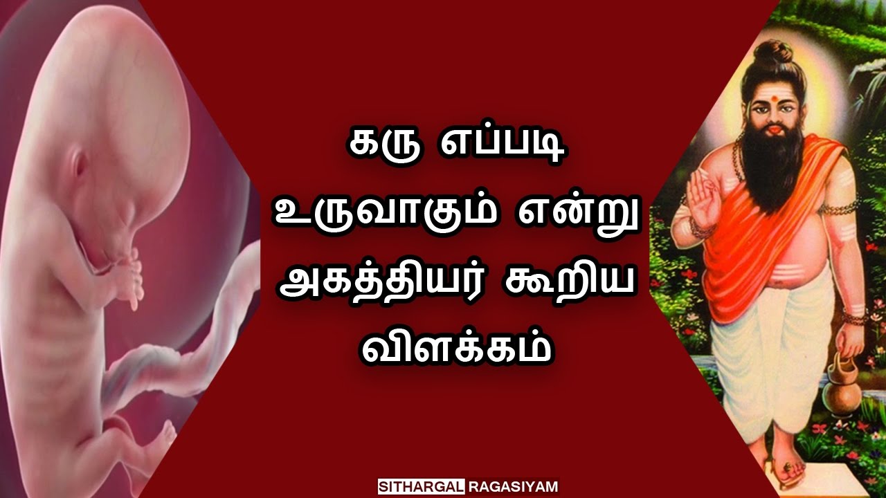 கருவின் வளர்ச்சி குறித்து அகத்தியரின் அற்புத விளக்கம் | Sithargal ...