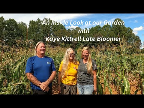 Get An Inside Look At Our Garden With Kaye Kittrell From Late Bloomer ...