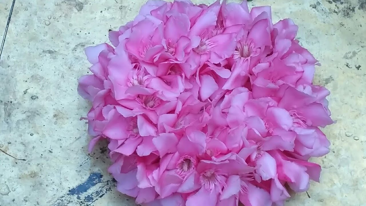 Alari flower//simple Ring - YouTube