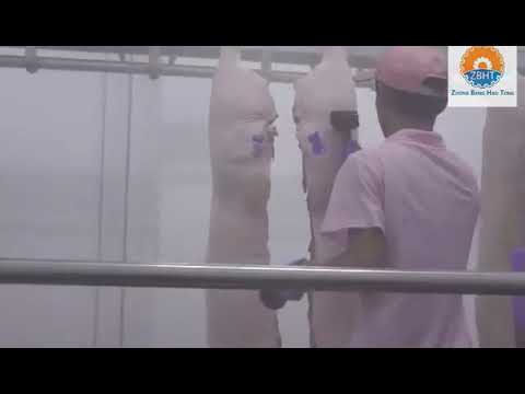 ZBHT pig carcass trimming and washing process - YouTube