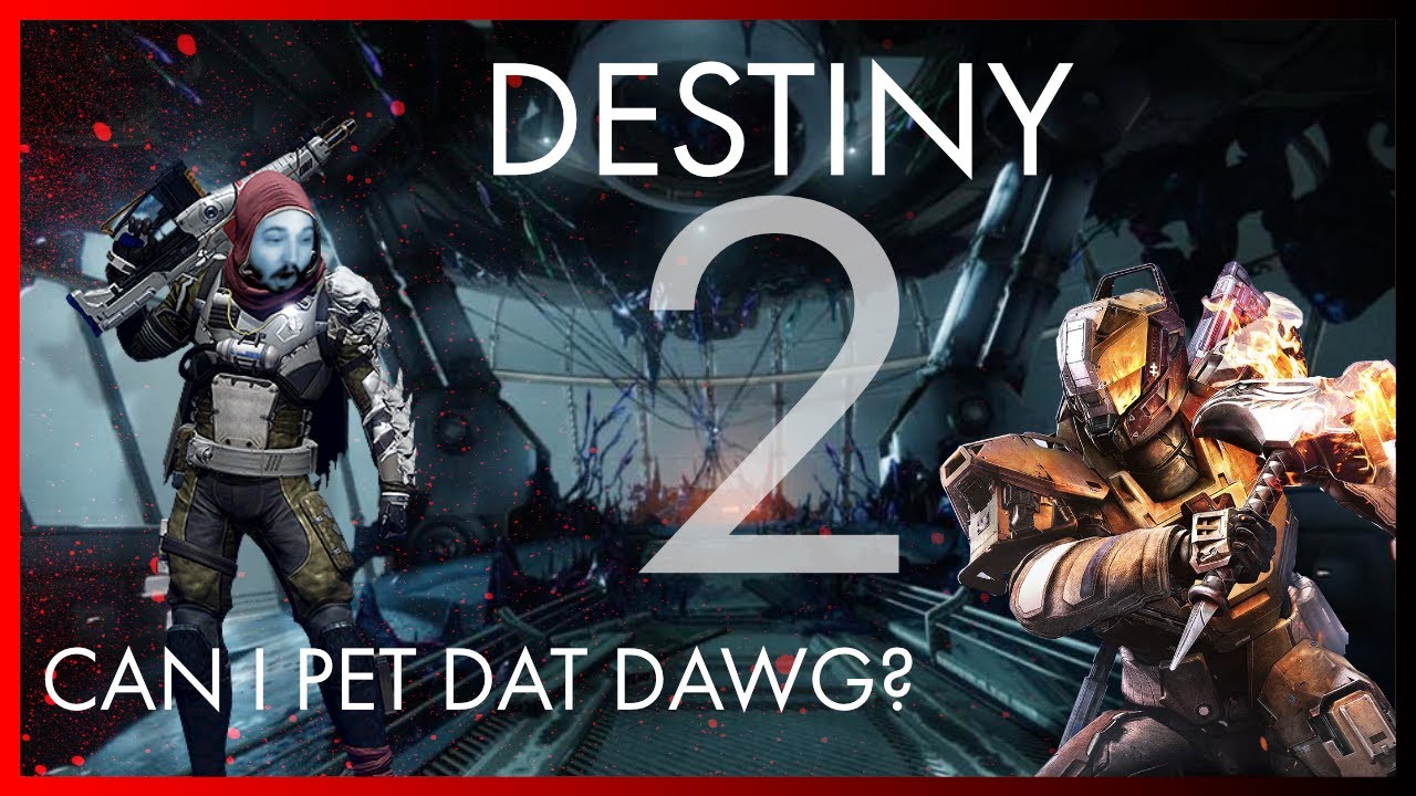 Destiny 2 Shenanigans - CAN I PET DAT DAWG?! - YouTube