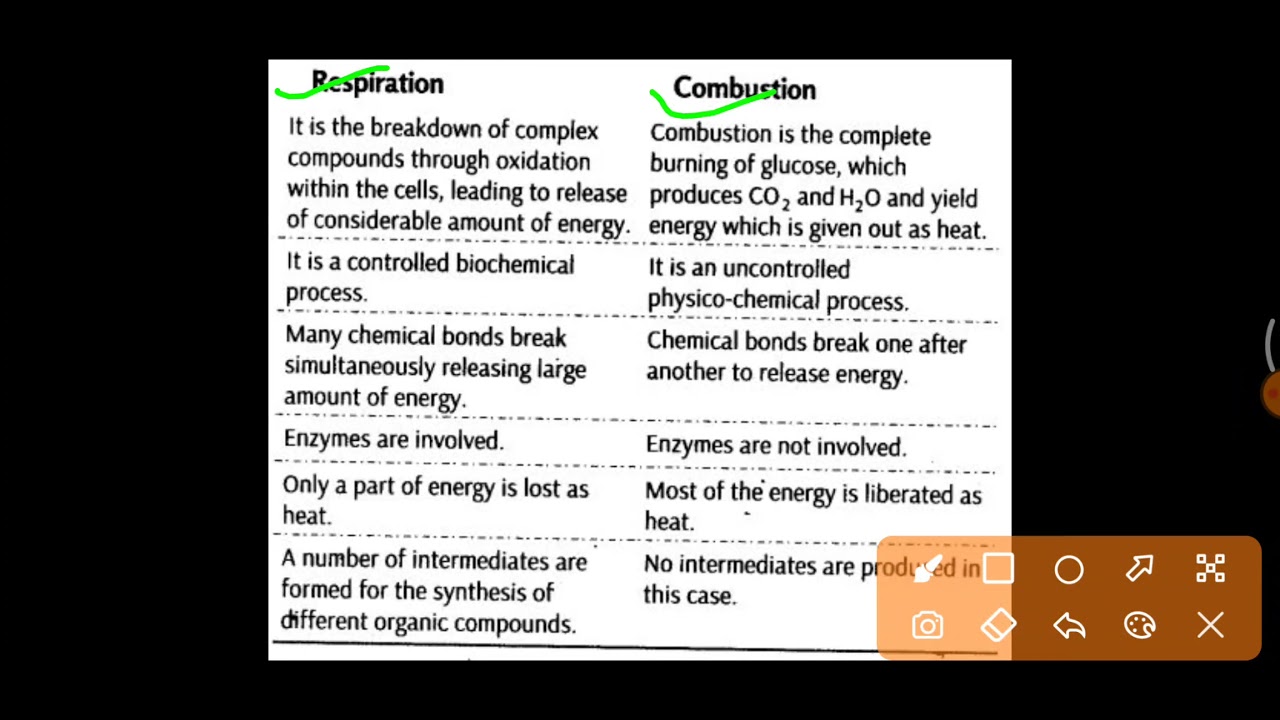 respiration | combustion | difference between respiration and combustion | दहन | dahan - YouTube