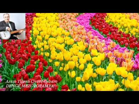 Aram Tigran Çiyayê Gebaro