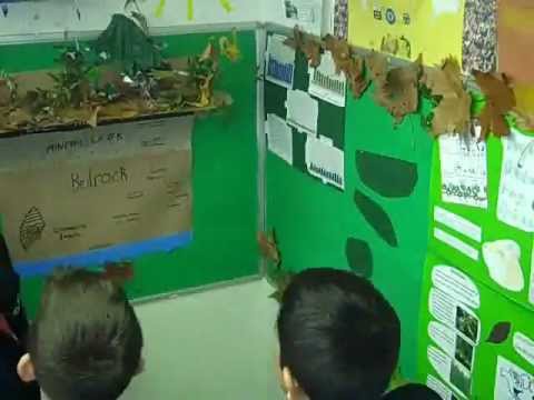 Year 10 2011/12 Tropical Rainforest Wall Display - YouTube