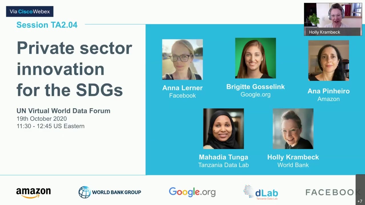 Private Sector Innovation for the SDGs: Integrating non-commercial data ...