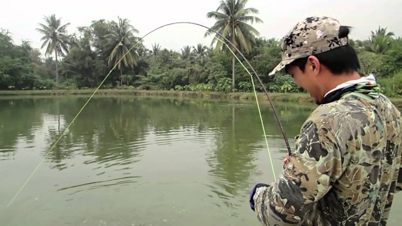 Vision Fly Fishing Thailand - YouTube