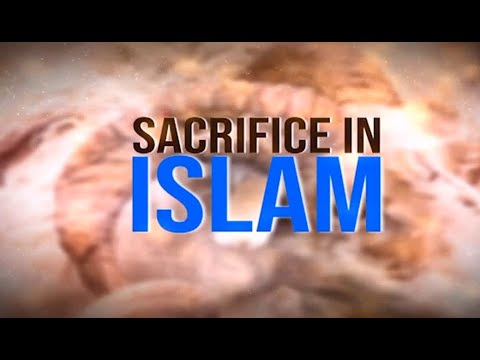 The Sacrifices of Hazrat Ibrahim | Sacrifice in Islam Episode 02 - YouTube