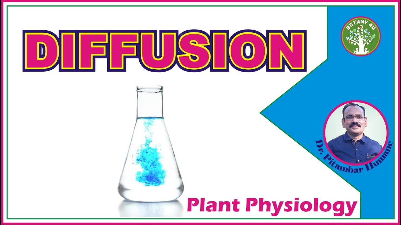 BOTANY 4U | PLANT PHYSIOLOGY | PITAMBAR HUMANE | Diffusion - YouTube
