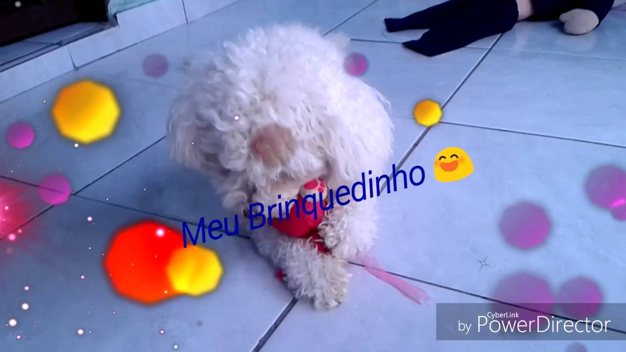 Meu Brinquedinho😄 Youtube