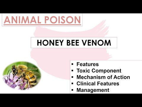 Bee Venom|| Animal Poison Lecture|| Forensic Toxicology Lecture|| - YouTube