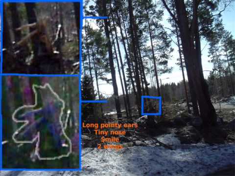 Nature Spirit.Real Pixie Caught On Photo! - YouTube