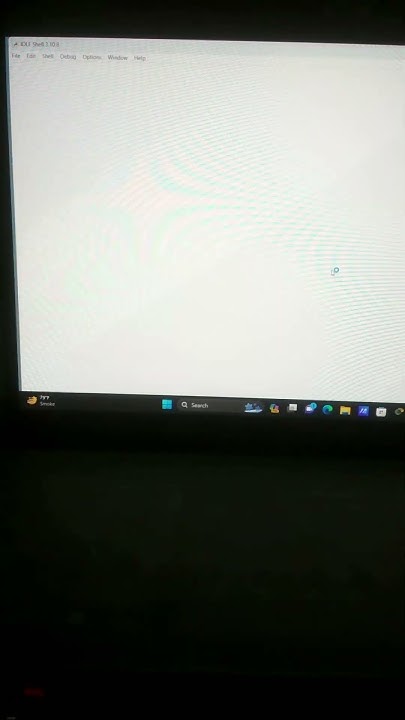 Create a program that asks the user to enter their name and their age. #shorts #viral - YouTube