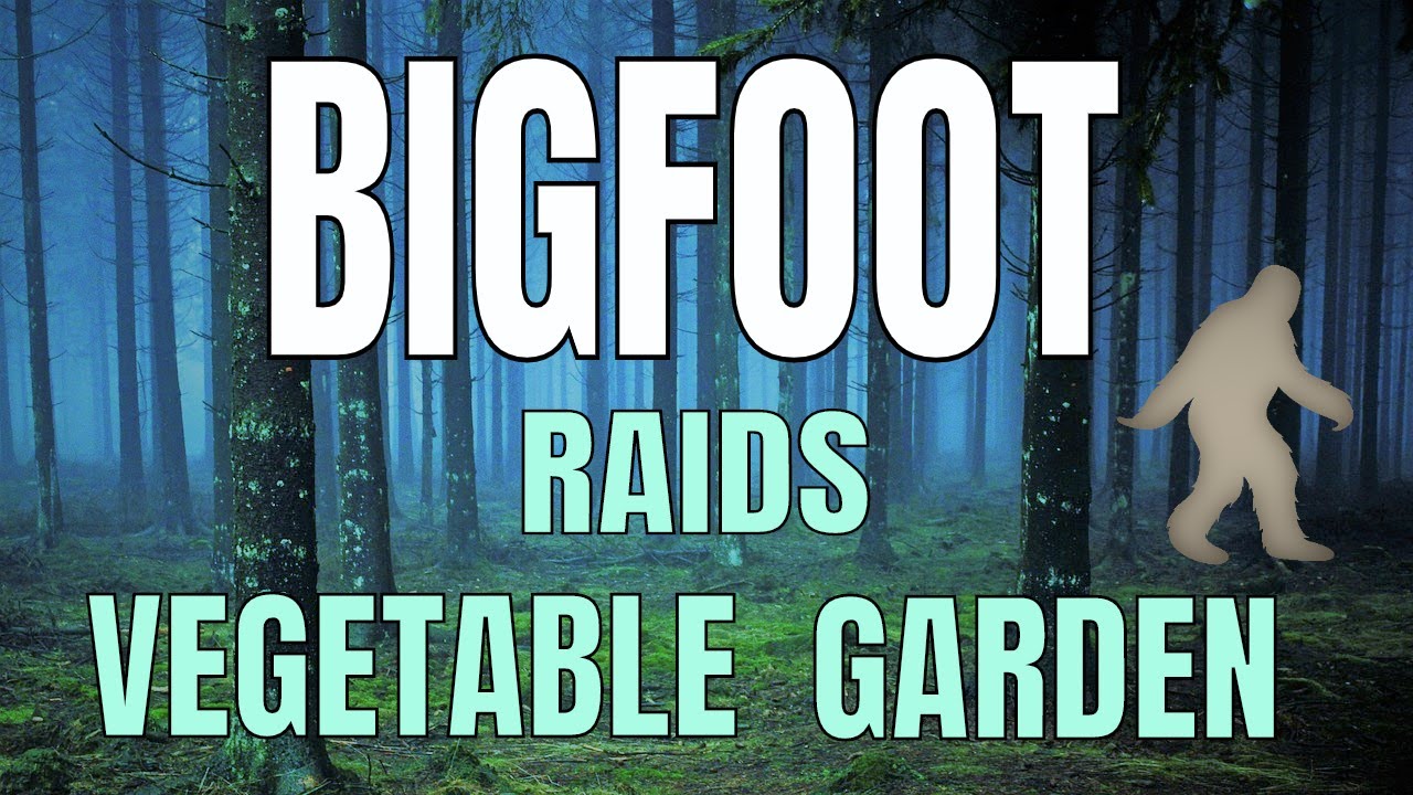 Bigfoot Raids Vegetable Garden - YouTube