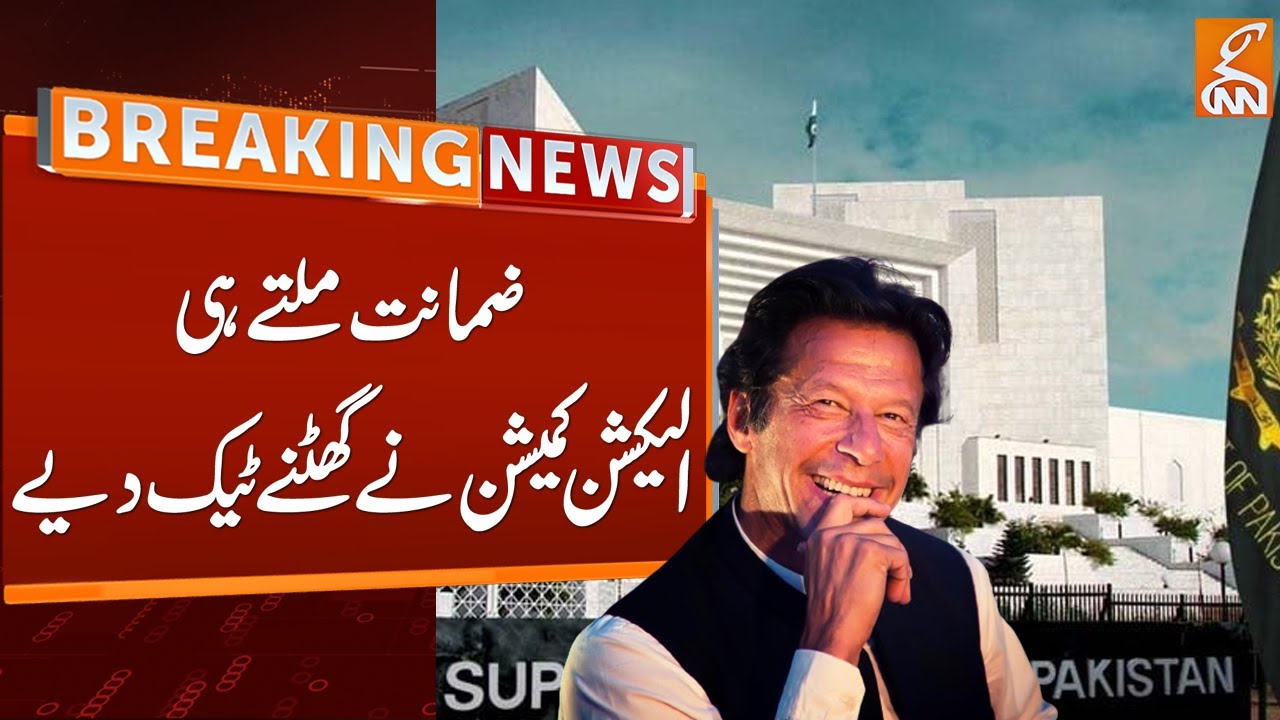 Watch: PTI big Victory | Breaking News | GNN