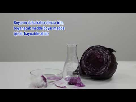 Deney: Kırmızı Lahanadan Boyar Madde Yapımı | Making Colorant from Red Cabbage