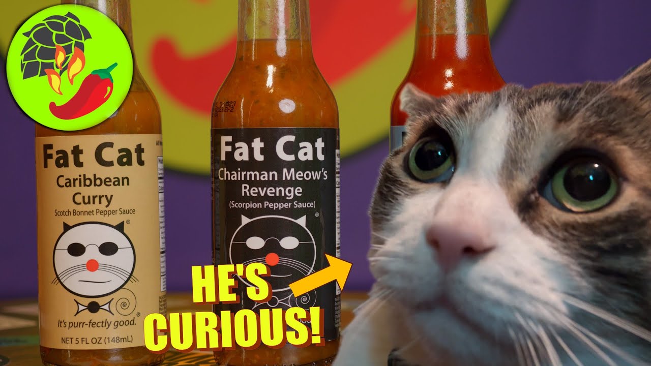 These Hot Sauces are the CAT'S MEOW!! - YouTube