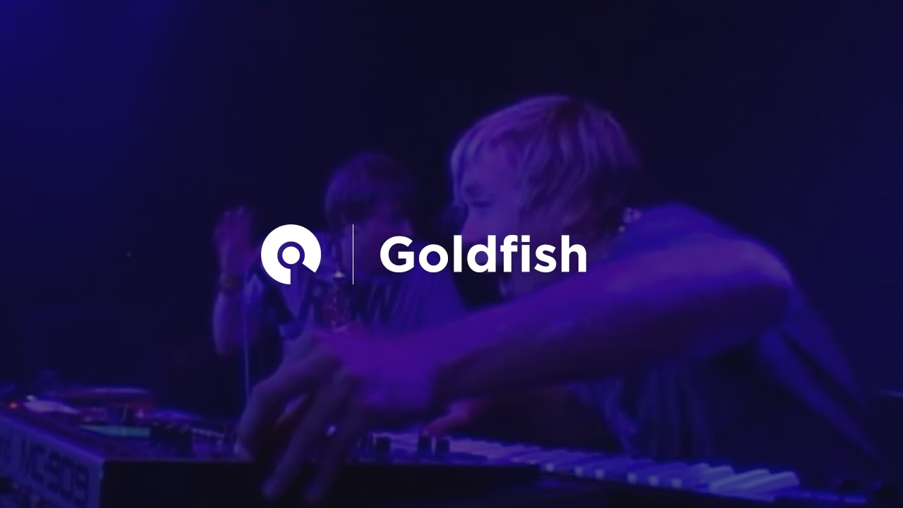 Goldfish Stage Dive Fail - YouTube