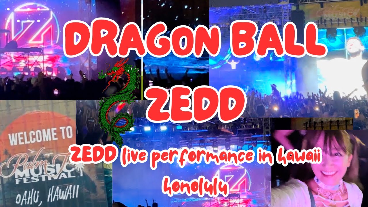 ZEDD live performance in hawaii honolulu パフォーマンス ゼッド ライブ ハワイ ホノルル Palm ...